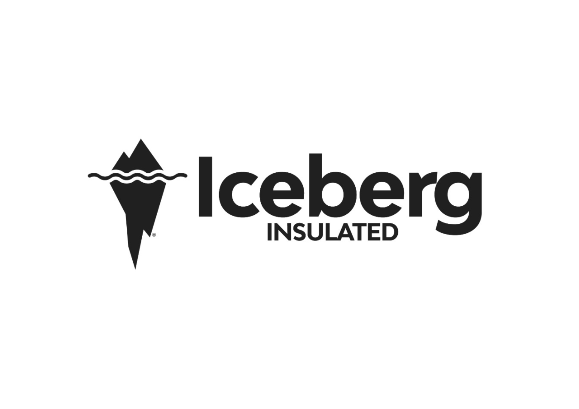 Iceberg Insulated Flasks – technofinds.shop